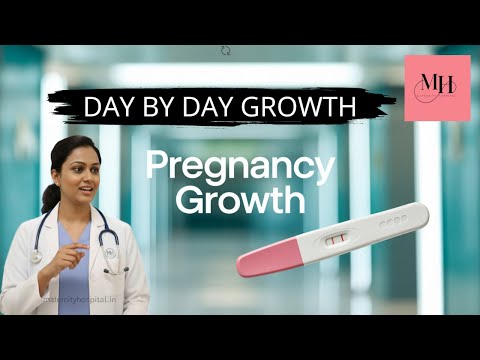 From Sperm Meets Egg to Baby - Full Pregnancy Timeline
