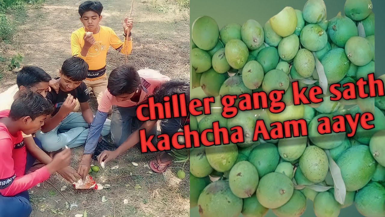 jangal area me jake kachcha Aam khaye chiller gang ke sath sehra vlogs ...