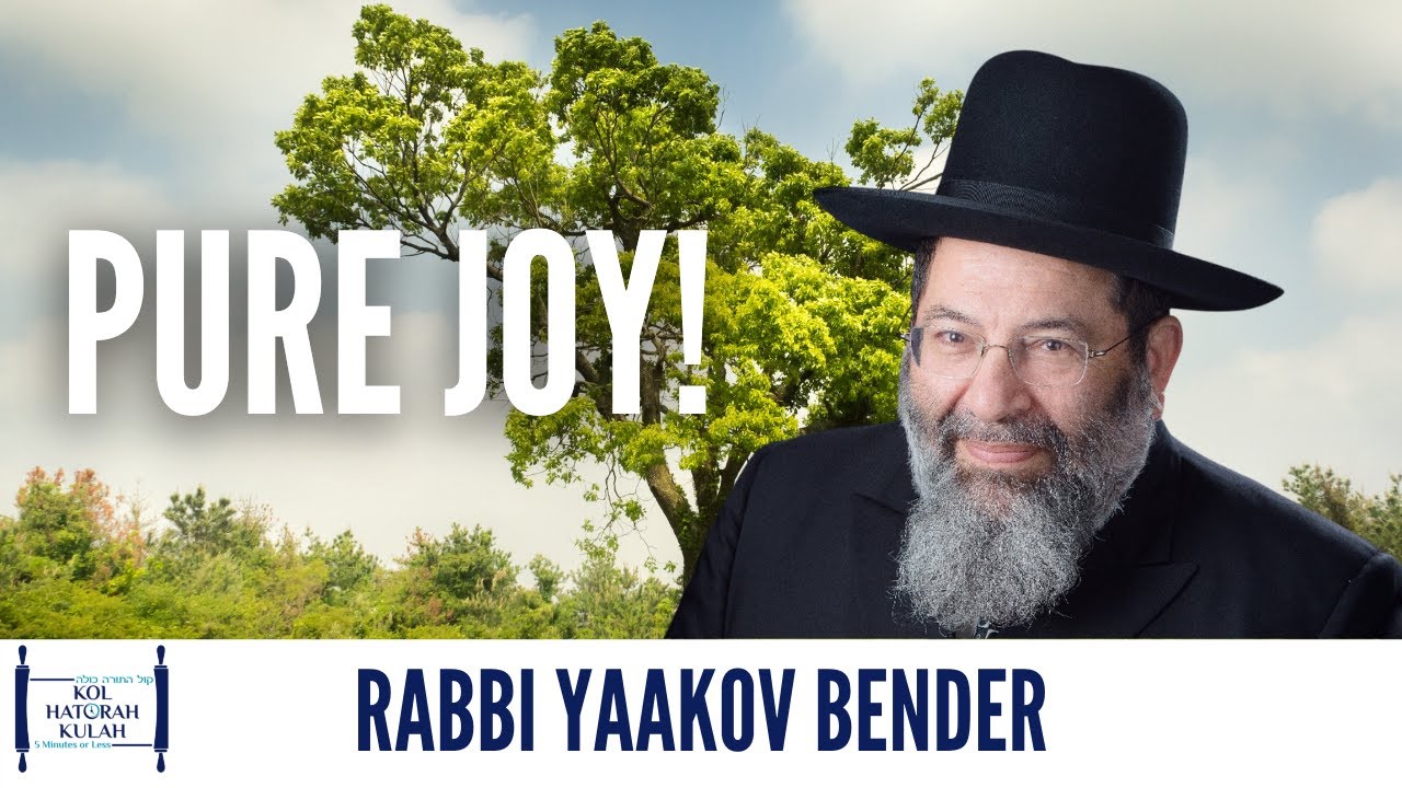 Pure Joy! - Rabbi Yaakov Bender - YouTube
