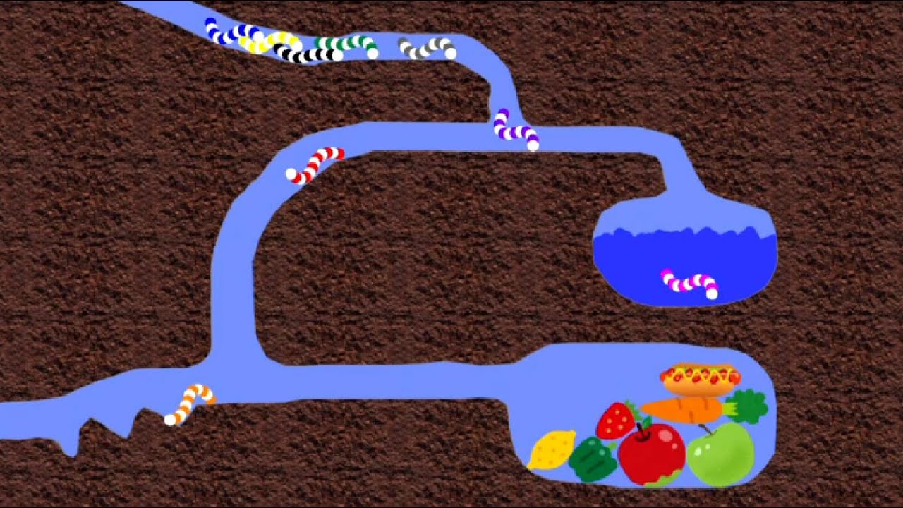 【Algodoo】Worm Heading for Bait. みの虫がエサに辿り着くまで - YouTube