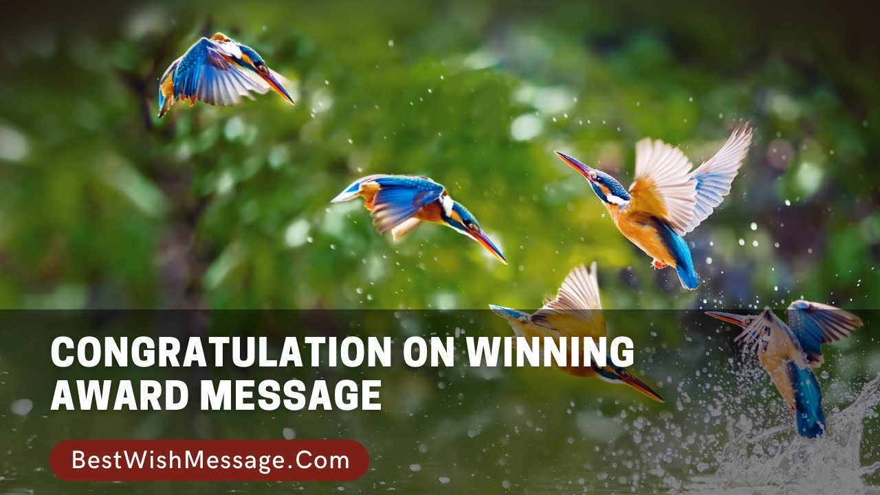 Congratulation on Winning Award Message | - YouTube