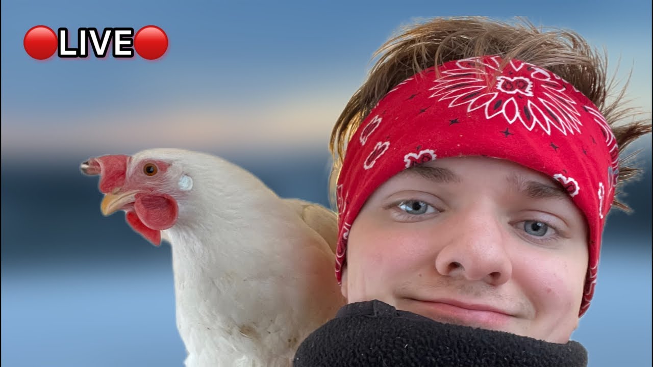 🔴Joseph's Flock is live!🤠 - YouTube