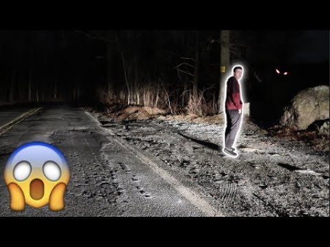 we walked into the forest on clinton road... - YouTube
