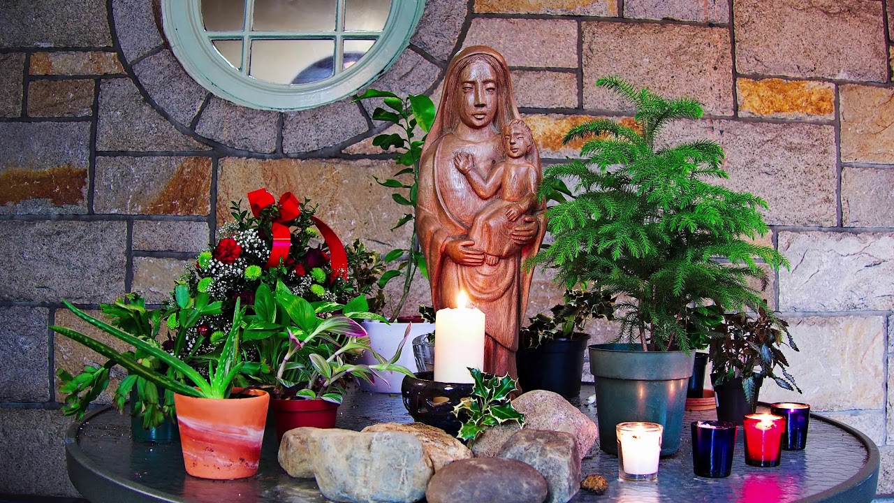 Our Mary Garden and the Christmas Tree - YouTube