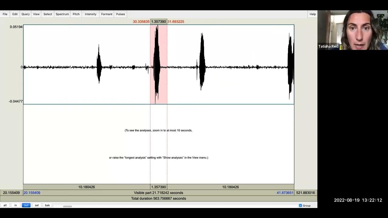 Cutting and saving audio files in Praat. - YouTube