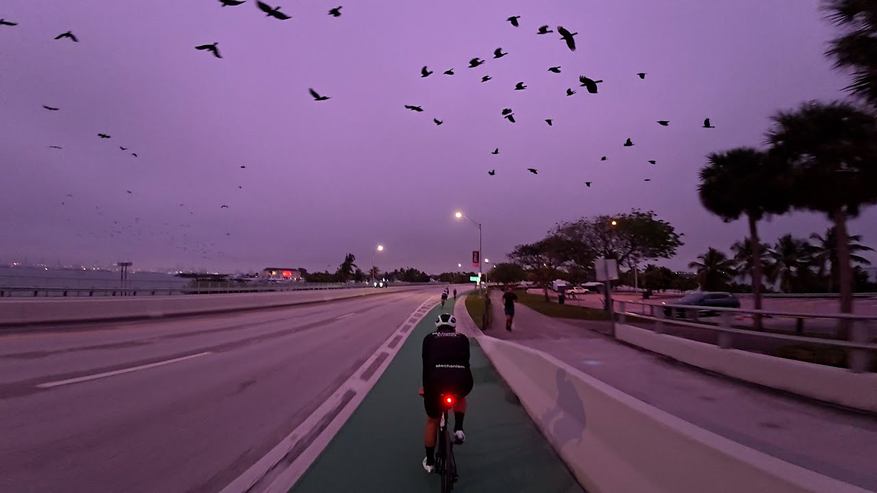 Miami mellow ride, quiet before the storm, uncut Jan. 22, 2025 - YouTube