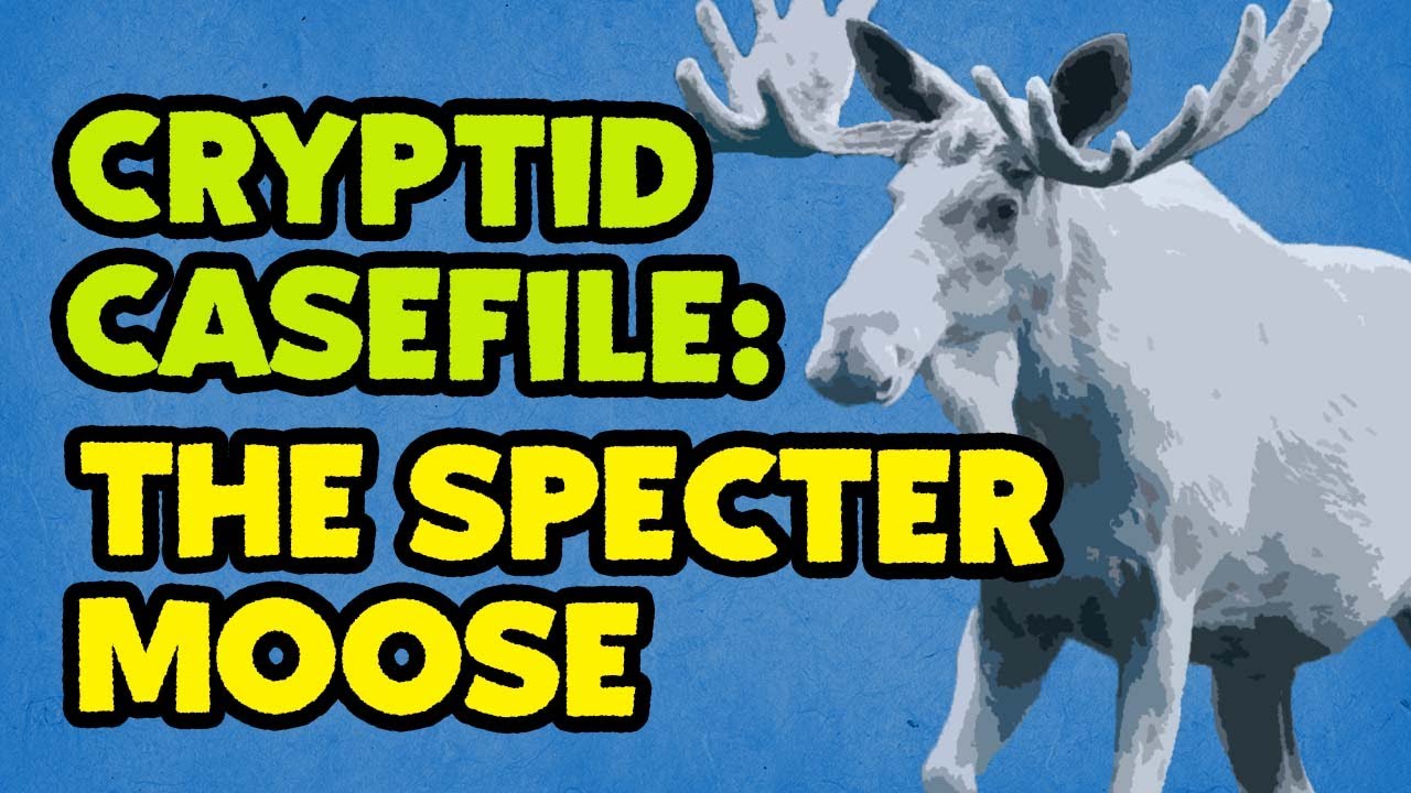 CREEPY Cryptid Casefile: The Specter Moose - YouTube