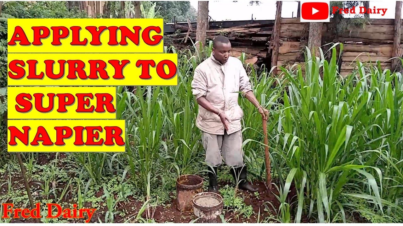 APPLYING SLURRY TO SUPER NAPPIER - YouTube