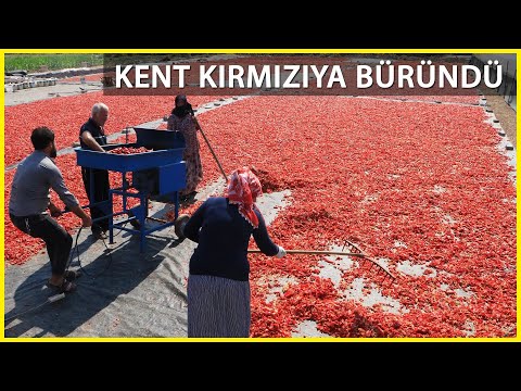 Şanlıurfa'da, 'Acı' Mesaisi Başladı