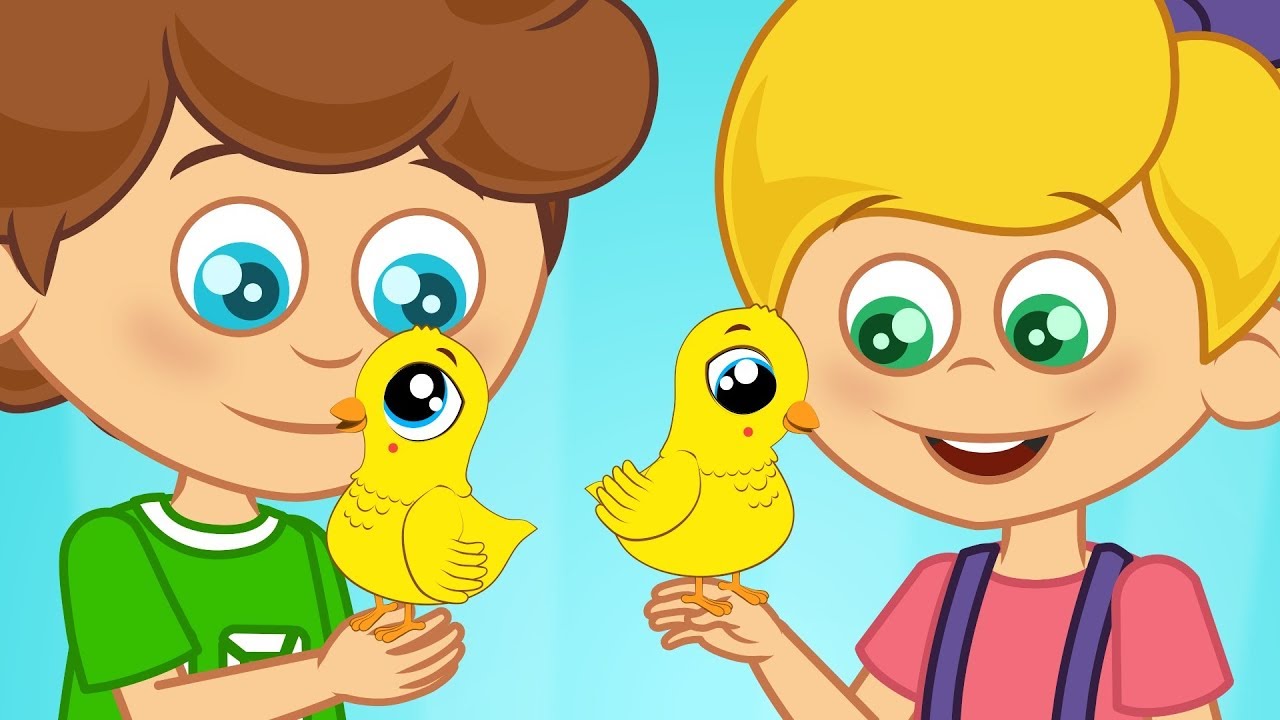 O Pintinho Piu | musica infantil com os Amiguinhos - YouTube