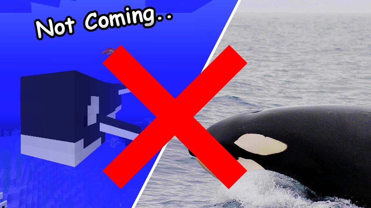 Minecraft Endangered Animals & Cruetly? Aquatic Update 1.13 PE, Xbox ...