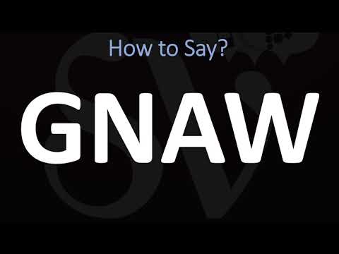 How to Pronounce GNAW? (CORRECTLY) - YouTube