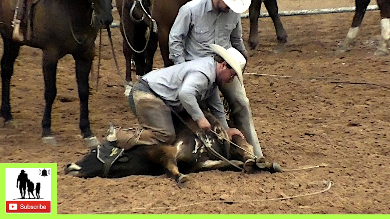 Stray Gathering - 2024 West Texas Ranch Rodeo | Saturday - YouTube
