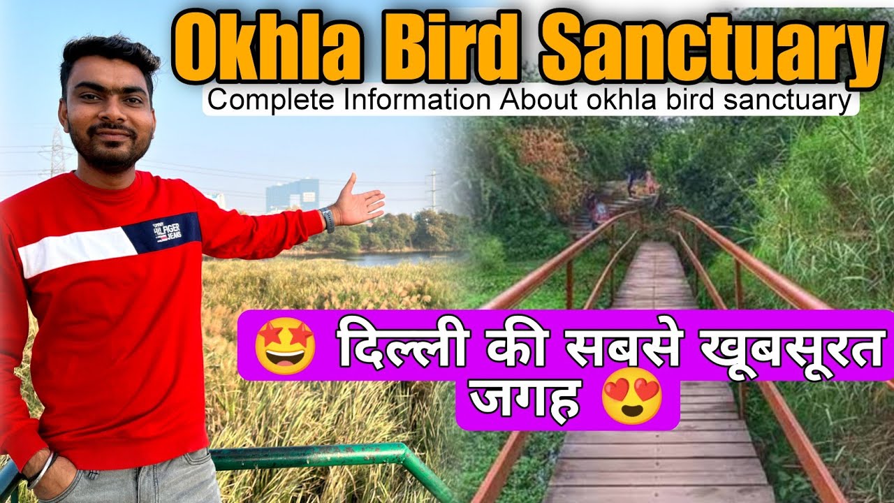 Okhla Bird Sanctuary | Okhla Bird Sanctuary Noida | Okhla Bird ...