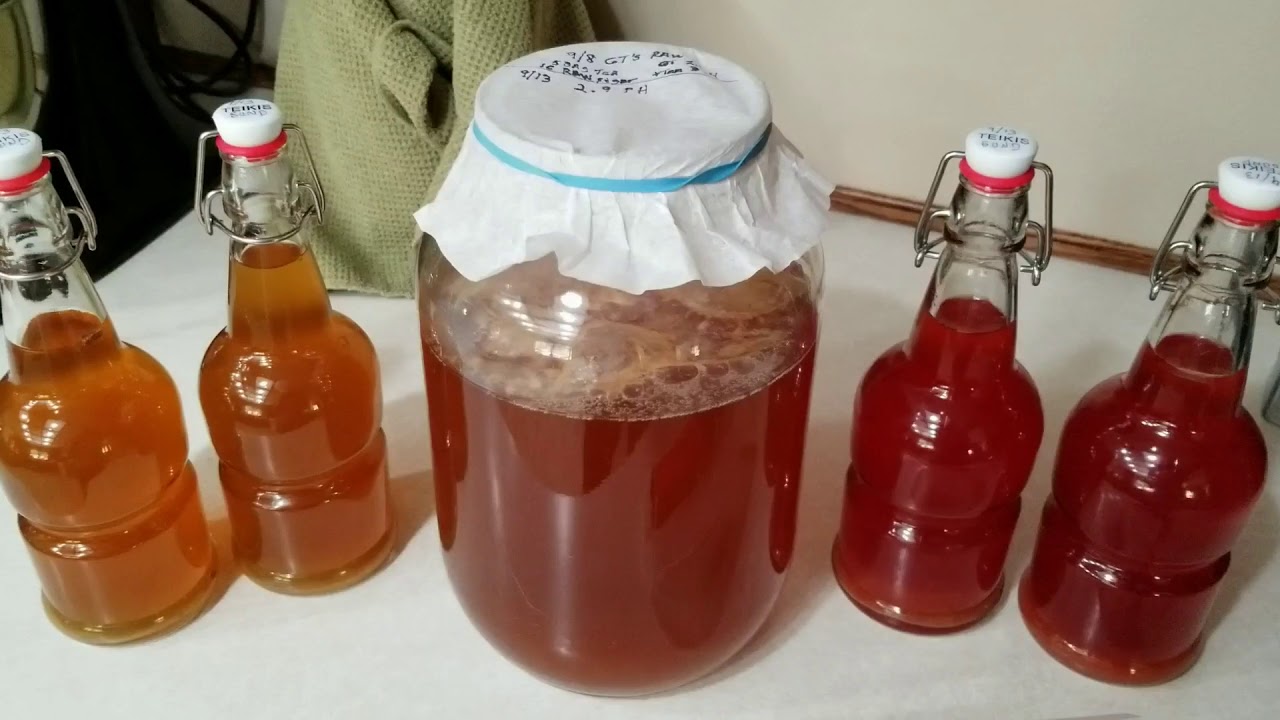 Kombucha from scratch PH levels - YouTube
