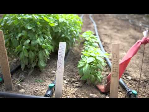 Amity Foundation at Circle Tree Ranch Virtual Tour - YouTube