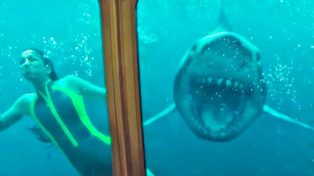 she got stuck inside giant shark tank... (BIG MISTAKE) - YouTube