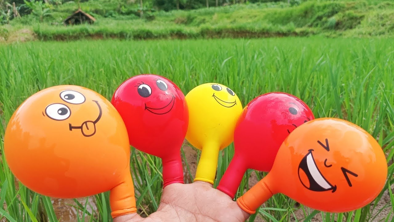 menemukan balon warna warni,balon berhadiah,pompa balon lucu,balon ...