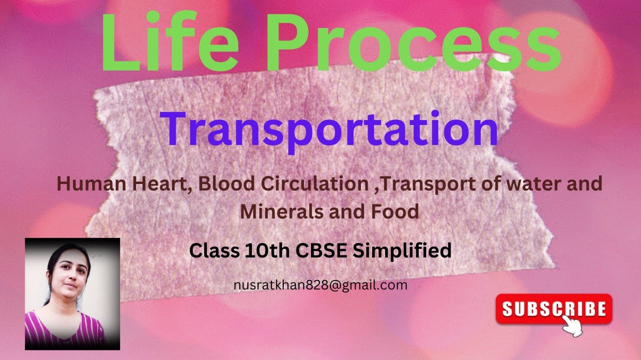 Class 10 /Life Process/Transportation/Human Heart/Blood Vessels/Xylem ...