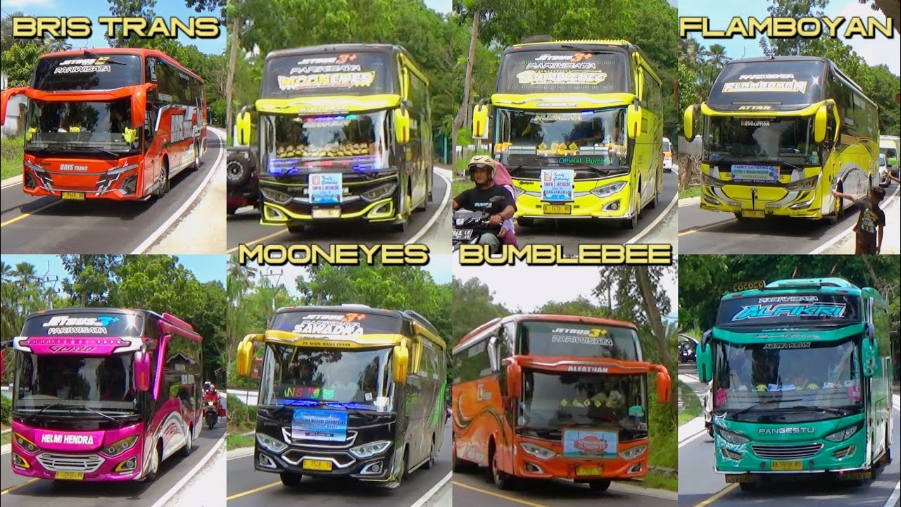 BUS ARTIS BASURI VIRAL 2024 MOONEYES TJ, BUMBLEBEE PECEL BALAP,BRIS ...