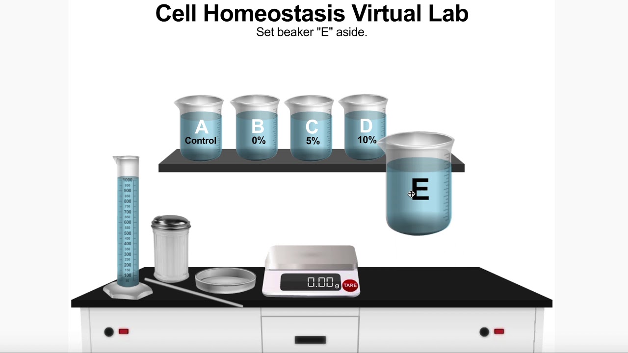 Dialysis Tubing Virtual Lab - YouTube