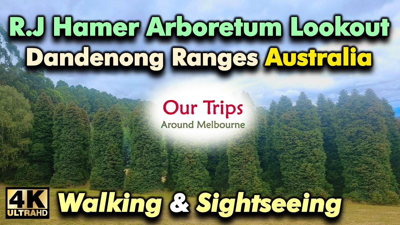 DANDENONG RANGES LOOKOUT R.J HAMER ARBORETUM | MELBOURNE VICTORIA ...