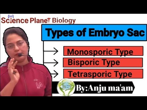 Types of EmbryoSac: Monosporic,Bisporic,Tetrasporic || By Anju ma'am ...