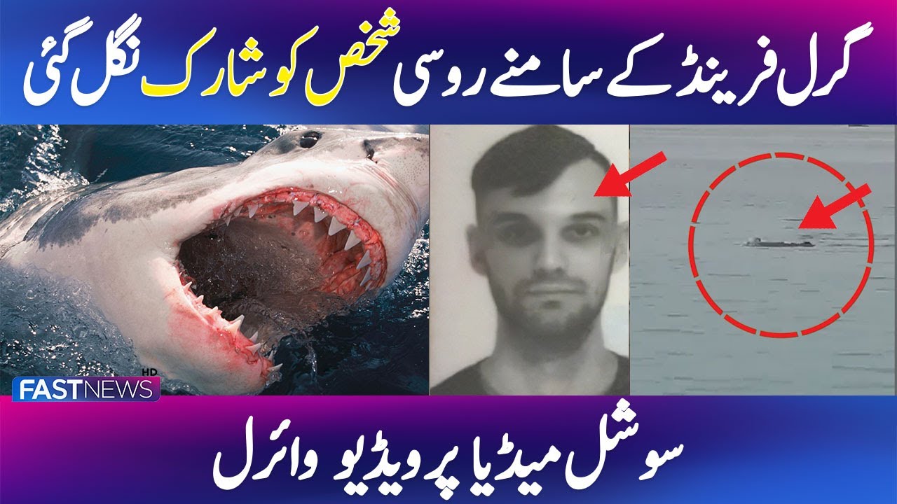 VIRAL VIDEO: Russian man dies after being mauled by shark off Egyptian ...