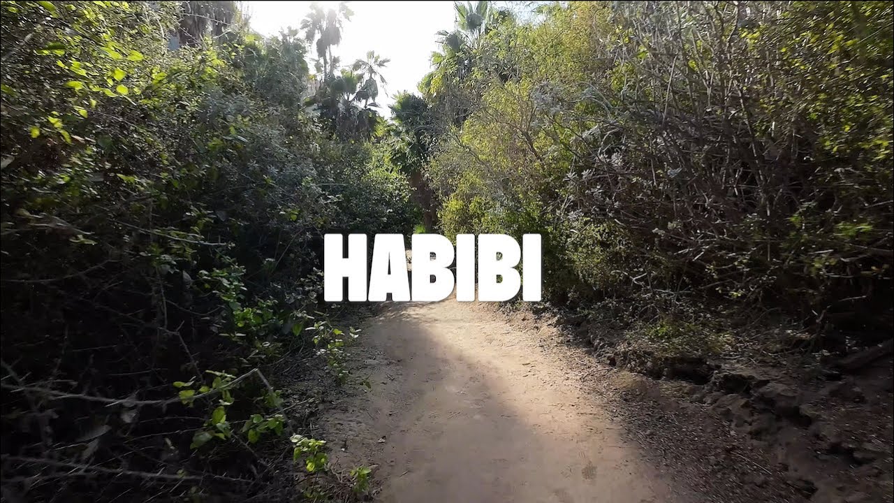 Robert Wayne - HABIBI (Lyric Video) ft. WORLDWIDETREY - YouTube