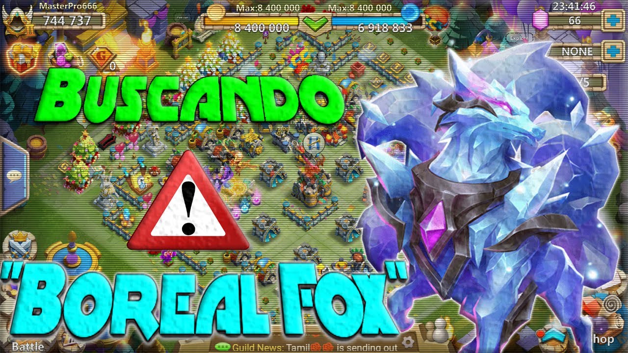 ⏩CASTLE CLASH⏩ Buscando a "Boreal Fox" 🥶 - YouTube