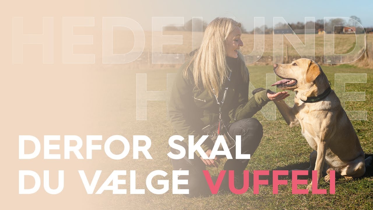 Derfor skal du vælge Vuffeli | Vuffeli - YouTube