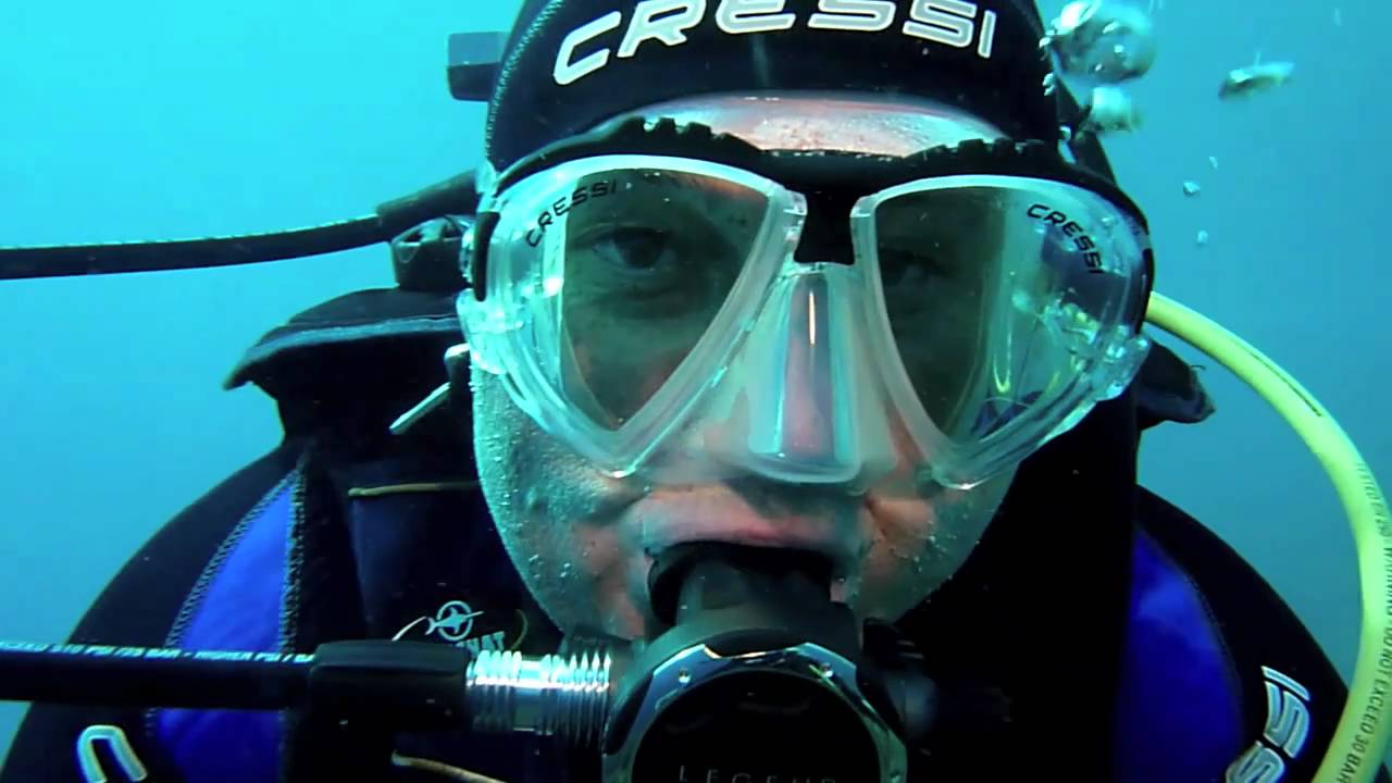 La vie sous marine à Nice Diving - YouTube