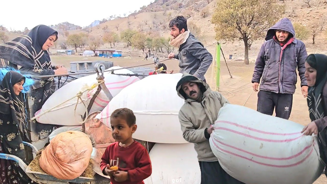 The real life of nomads: a day's work in difficult conditions ⛰️ ...
