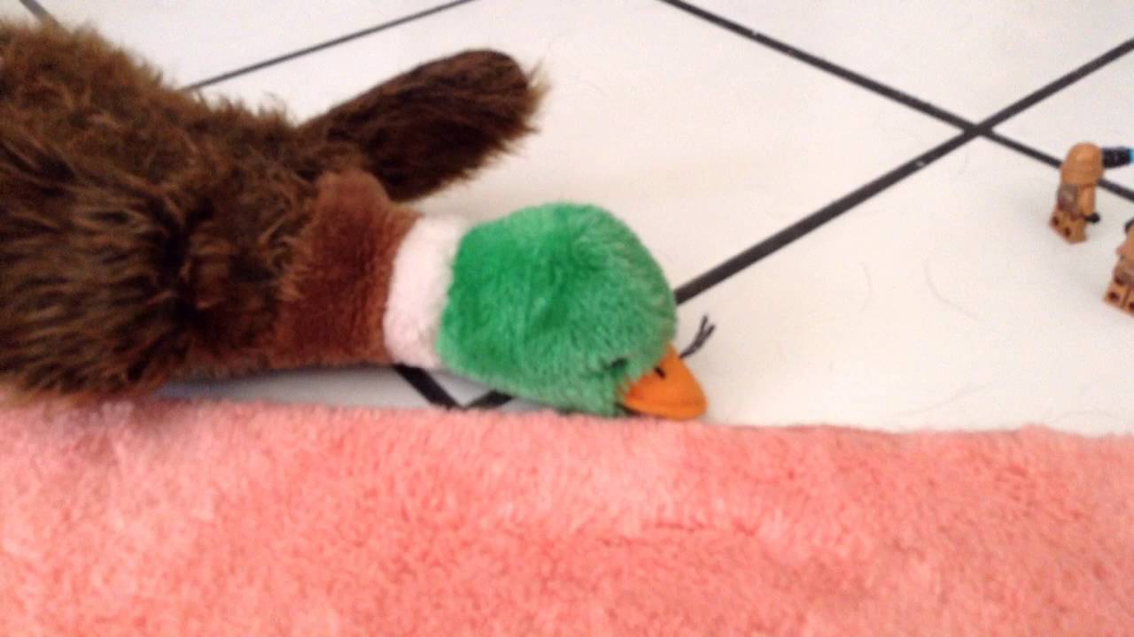 The Quackers || Our savior BUD - YouTube