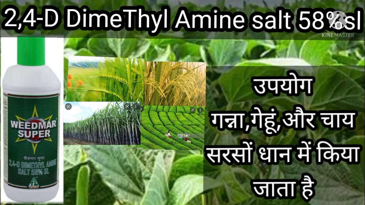 Weedmar Super 2 4 Dimethyl Amine Salt 58 Sl weedmar-super-2-4-dimethyl-amine-salt-58-sl
