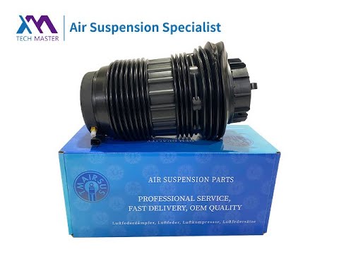 Tech Master Porsche Panamera RearLeft and Right Air Suspension Springs ...