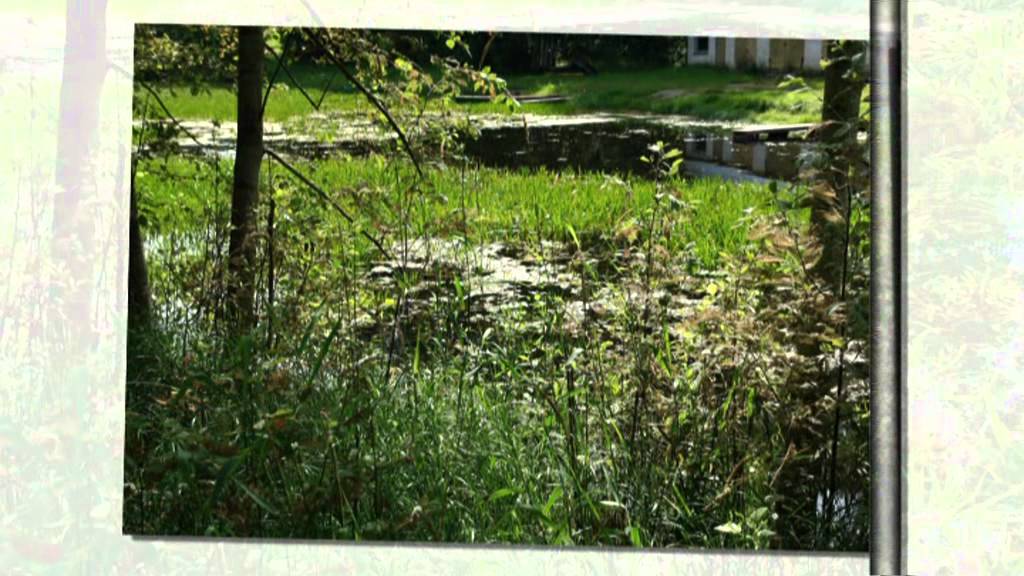 GERMANTAS. - YouTube