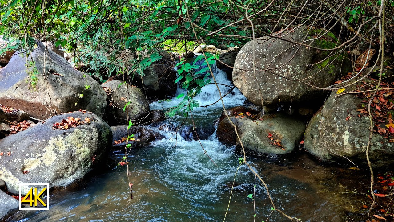 Discover the Ultimate Relaxation: Most Soothing River Flow Through a ...