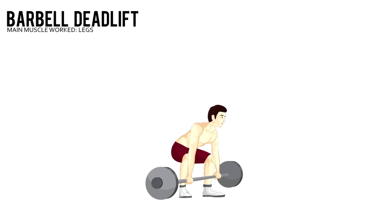 Deadlift Animated Video | How To Do Deadlift 2018 - YouTube