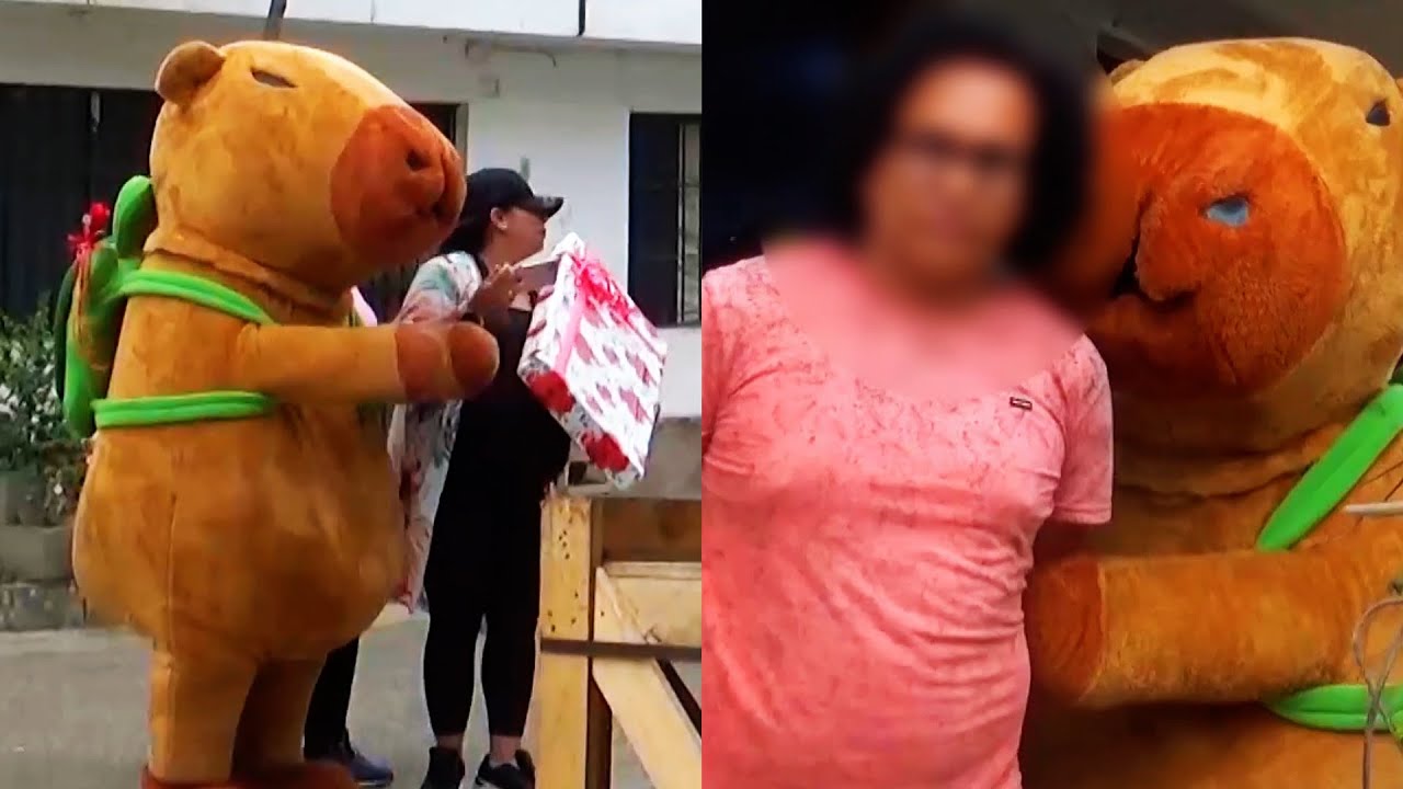 Drug Suspects Fooled by Police Officer in Capybara Costume - YouTube