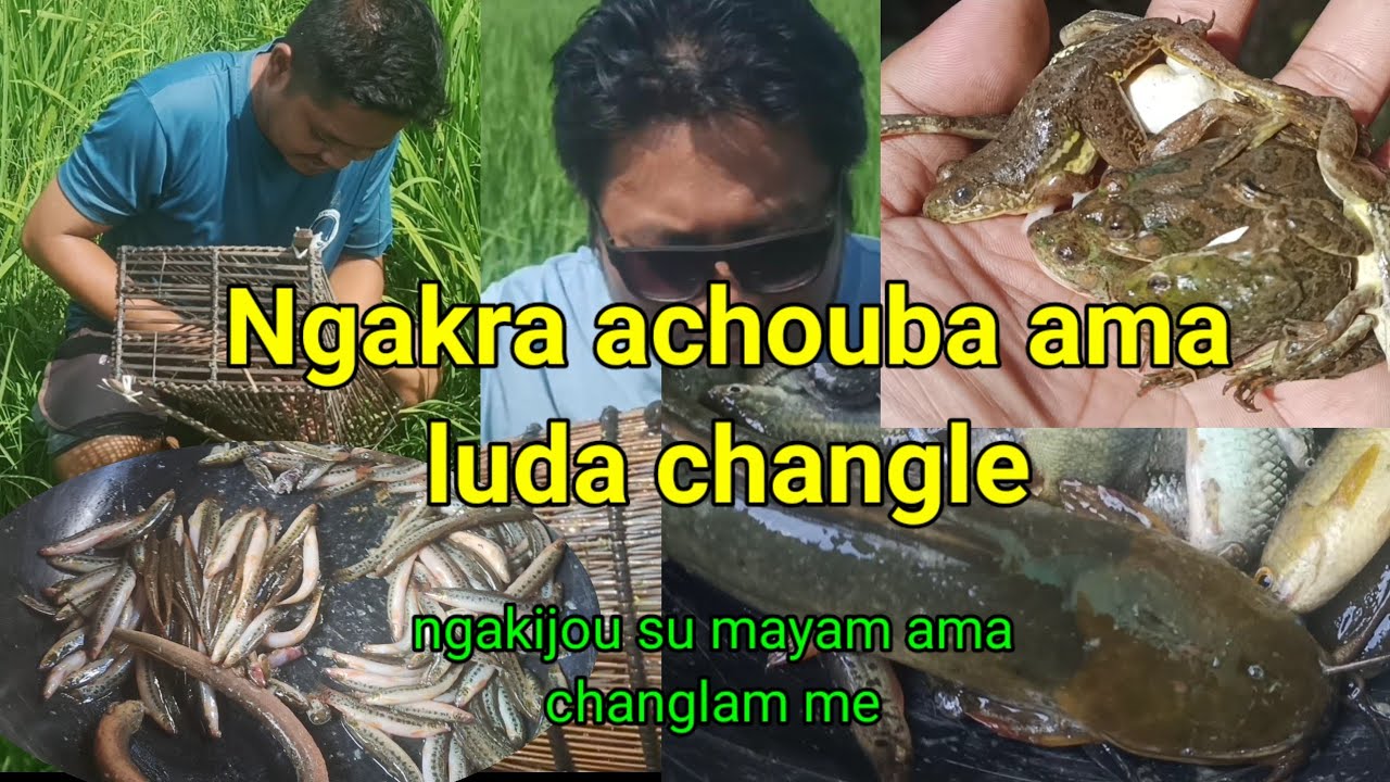 Luda ngakra ngakijou changba#fishing #fishermans #farmer #fish #catfish ...