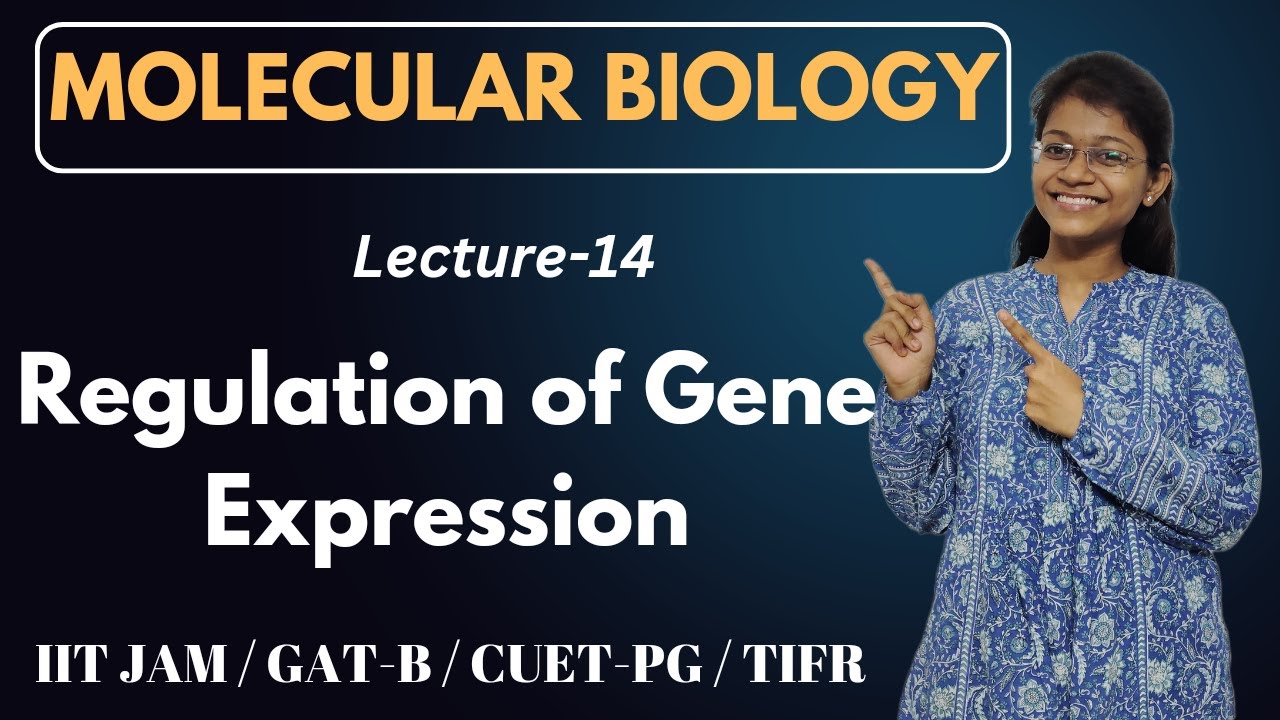 Molecular Biology 14 | Regulation Of Gene Expression | IIT JAM ...