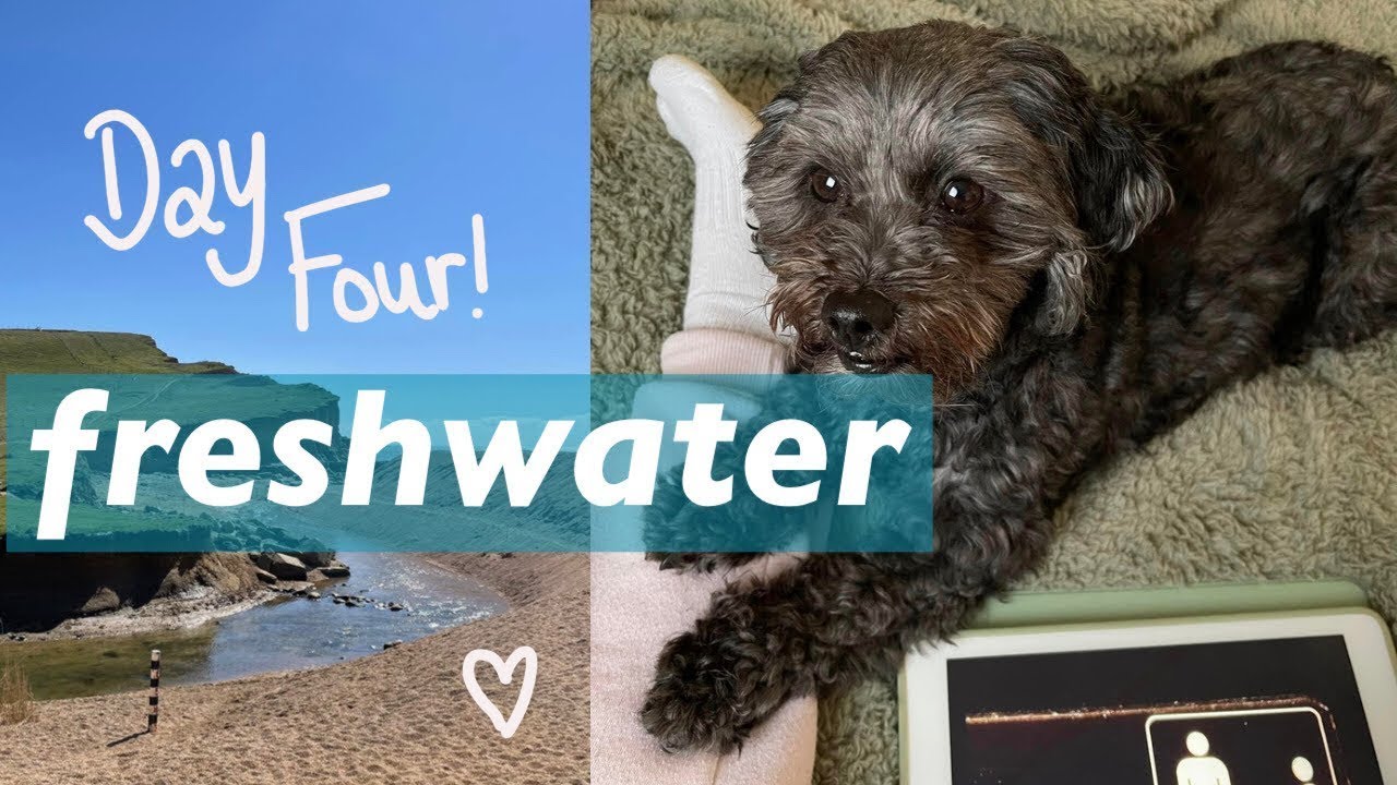 We Had Some Visitors! 🐶 | Freshwater Day 4 - YouTube