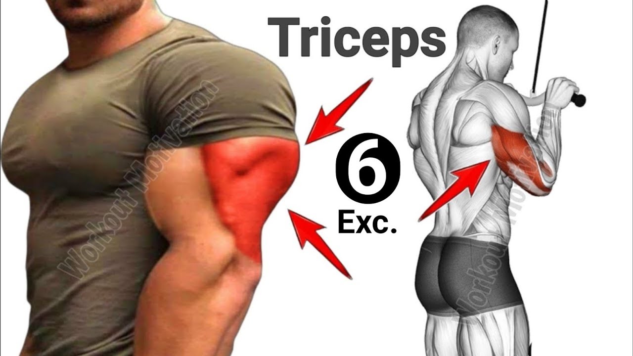 6 Fastest Effective Exercises to Get Bigger Triceps | Best Triceps ...