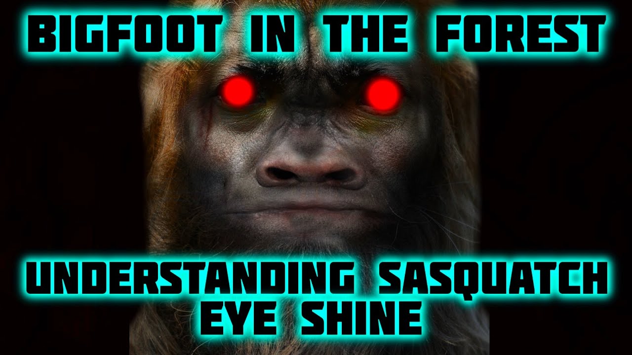 BIGFOOT IN THE FOREST - EYE SHINE - YouTube