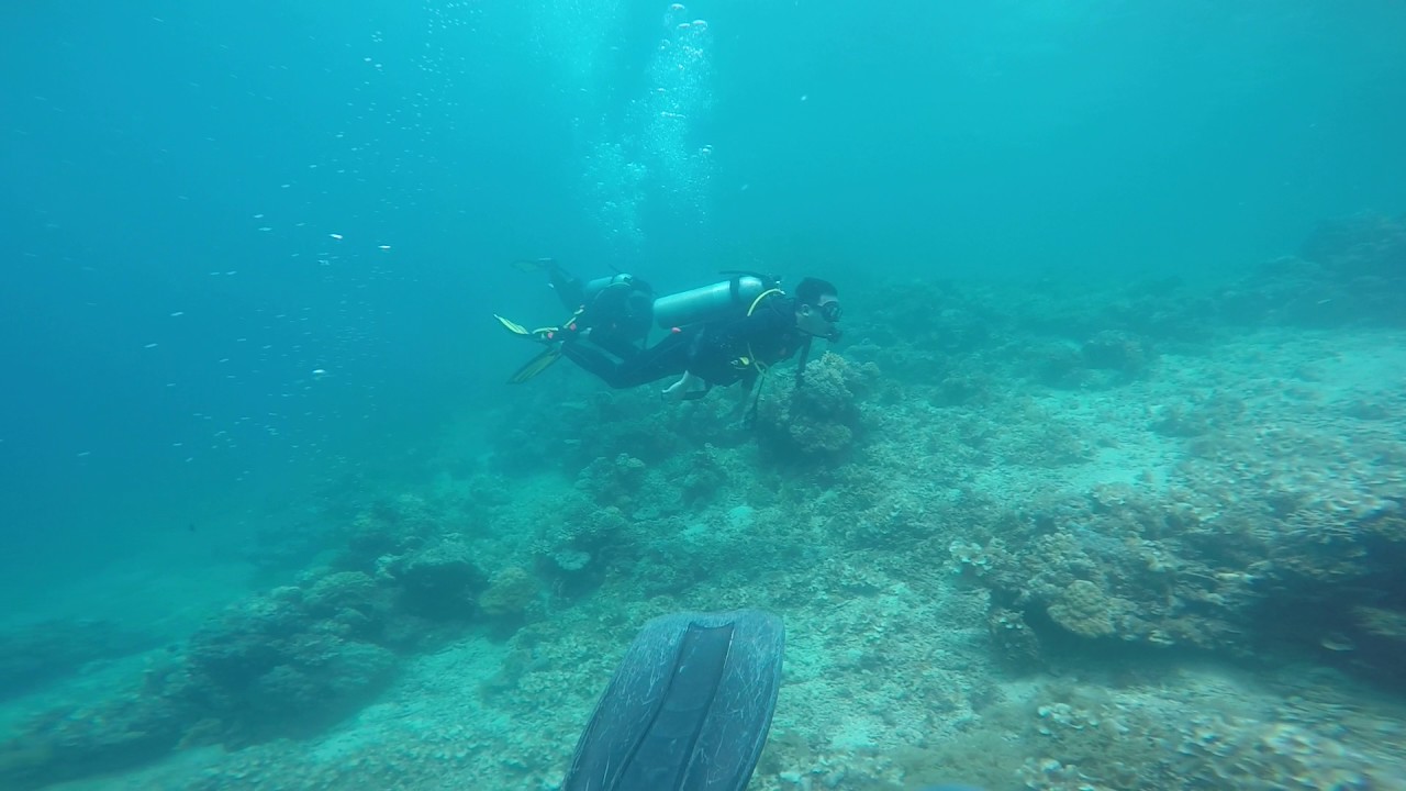 Scuba Diving El Nido Palawan 2 - YouTube