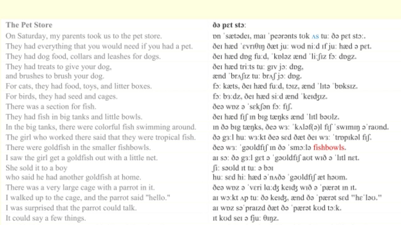 24_The pet store - YouTube