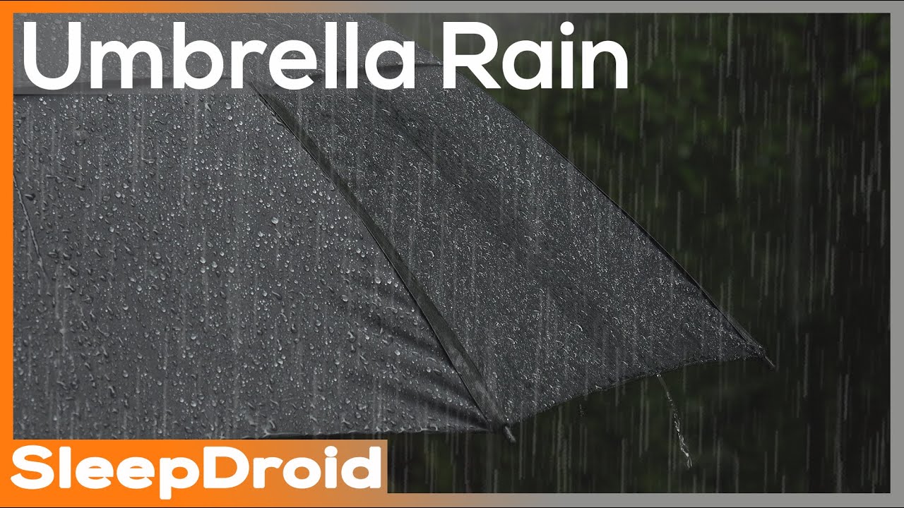 Rain on an Umbrella ~Rain Sounds for Sleeping, Light Rain Under an ...