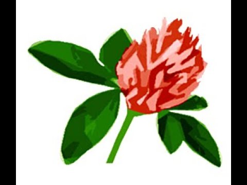 Clover Portal Introduction - YouTube