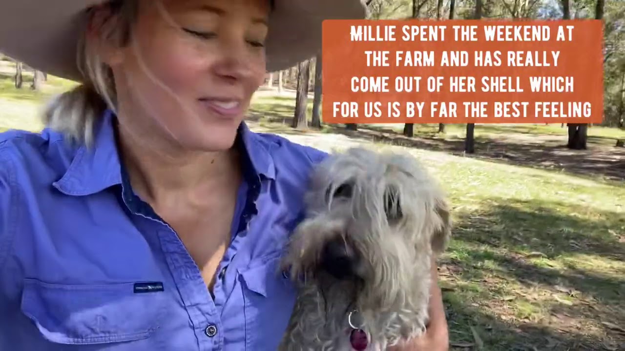 Monday at the farm - YouTube